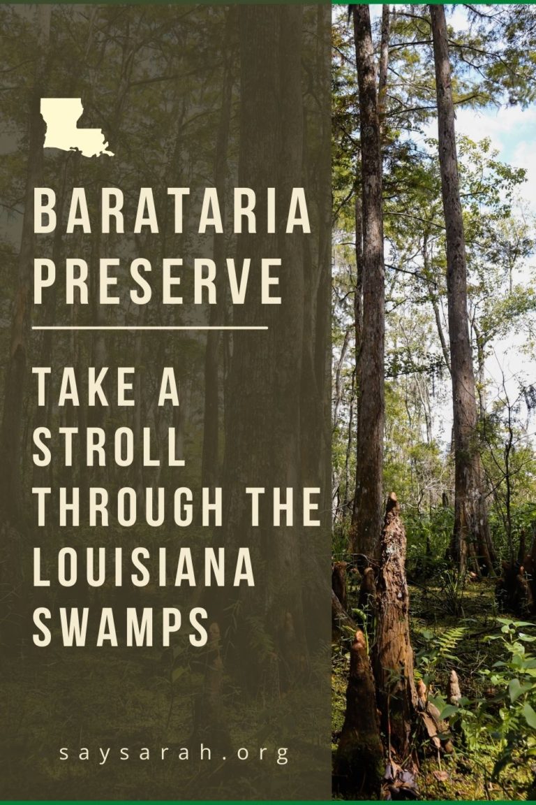 Stroll the Louisiana Swamps - Visit the Barataria Preserve Now! - Say Sarah